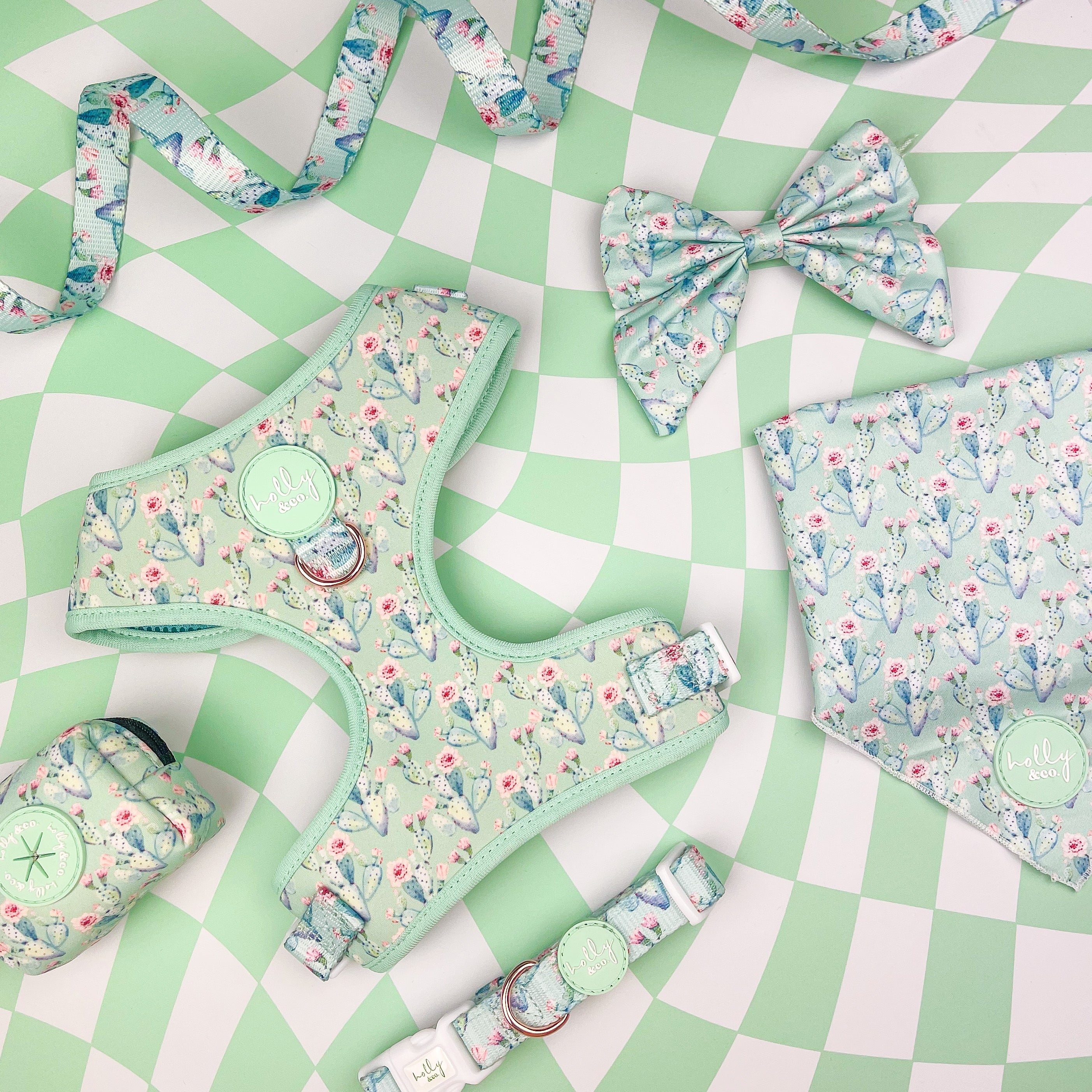 Bundle // Pretty Fly For A Cacti – Holly & Co AU